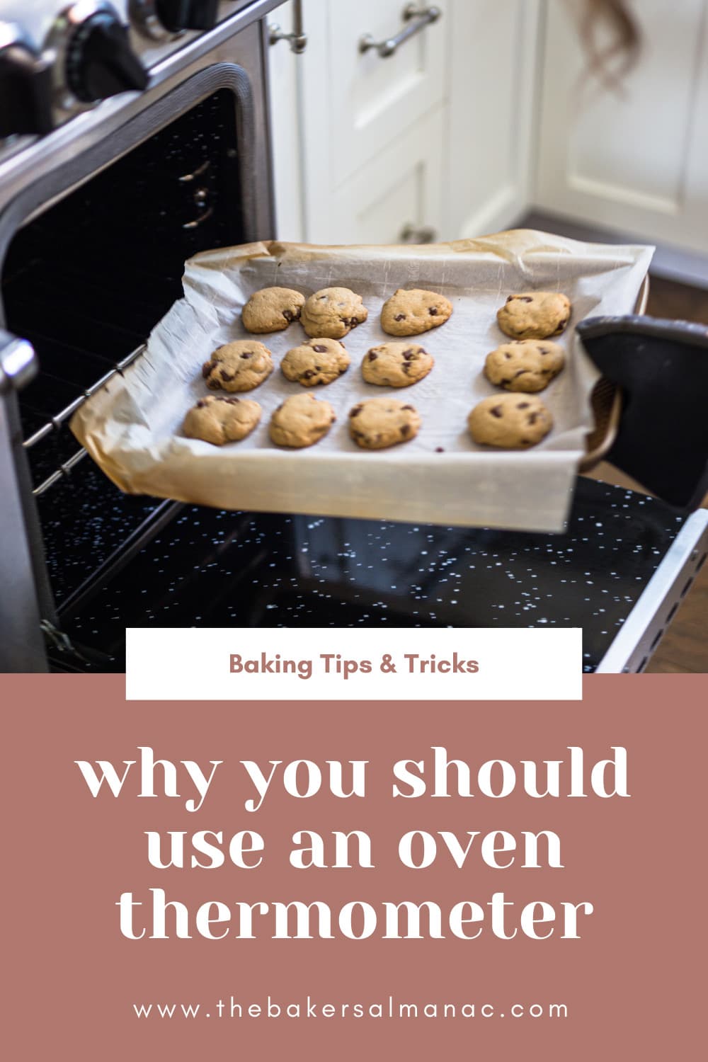 Why You Should Use an Oven Thermometer When Baking - The Baker's Almanac