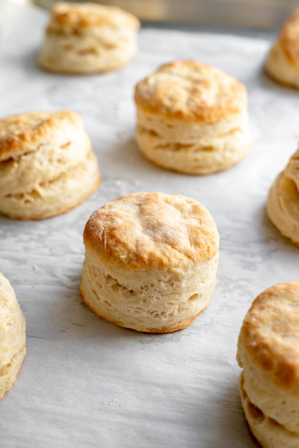 Easy Buttermilk Biscuits - The Baker's Almanac